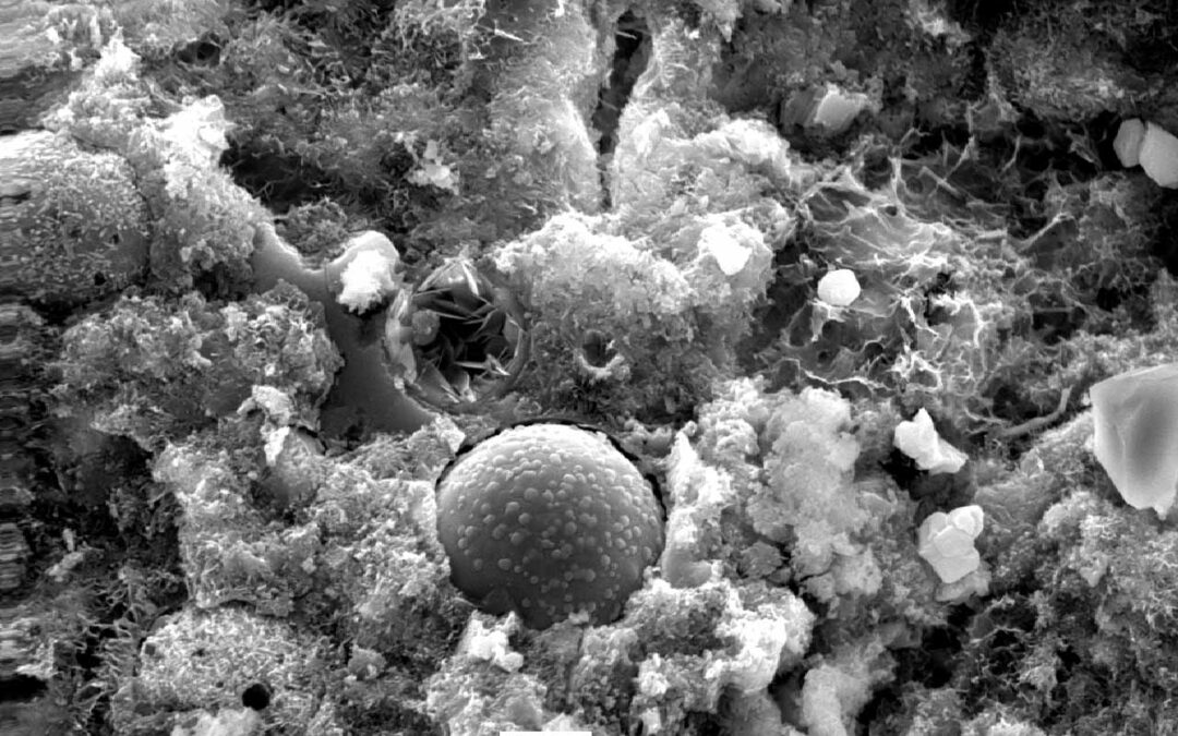 Graphite SEM Image 2KX - Ethos Engineering and Testing