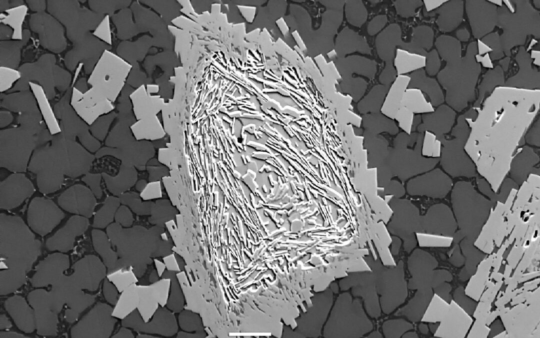 Polished Etched Sample Sem Image 700x Multiple Phases Of Material
