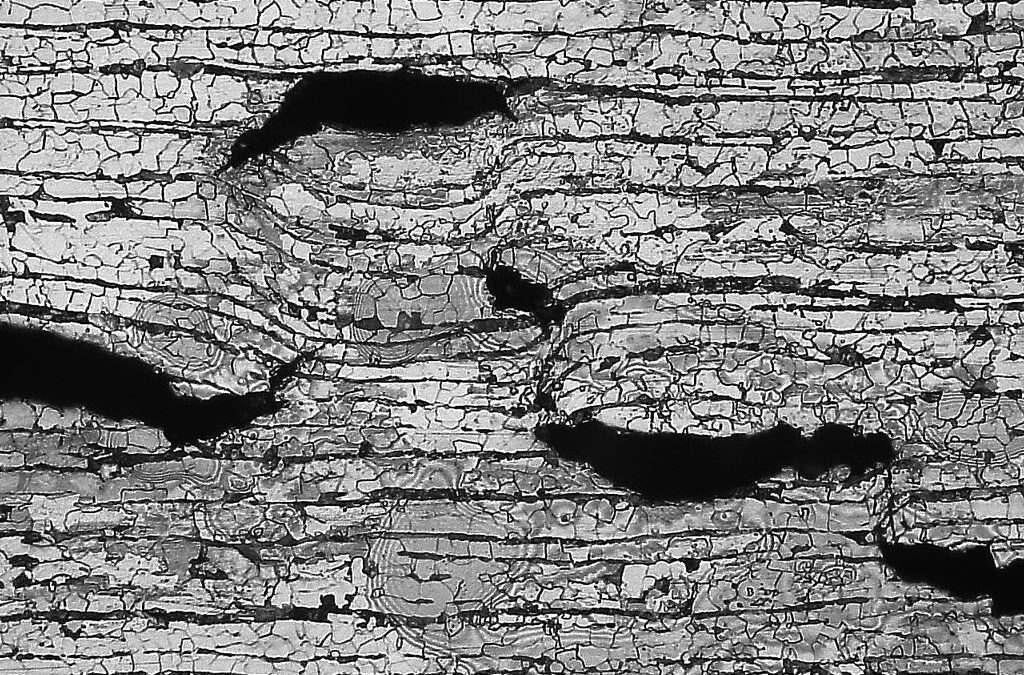 Microscope Image of Damage to Microstructure - Ethos Engineering and ...