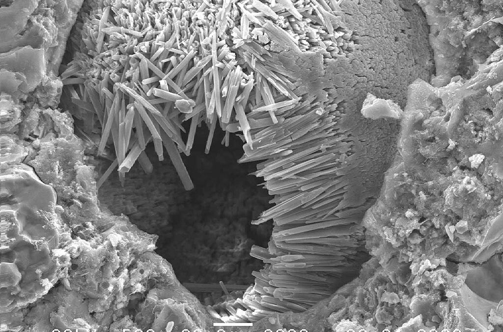 Fly-Ash-Particle-In-Concrete@500x - Ethos Engineering and Testing